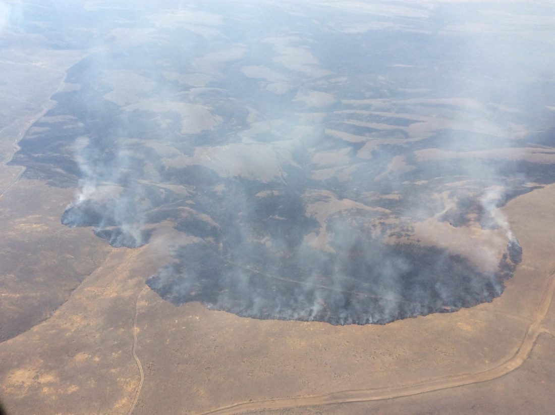 Arid Lands Initiative | Implementation